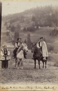 Rasa de cai hutul, descopera frumosul cal romanesc.