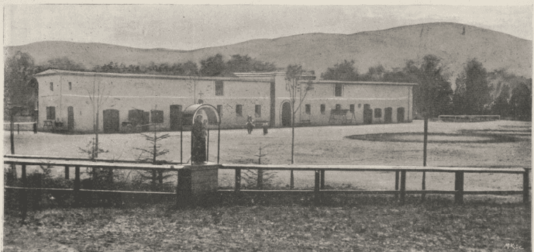 Cai Lipitan, frumoasa poveste a acestui cal dansator.